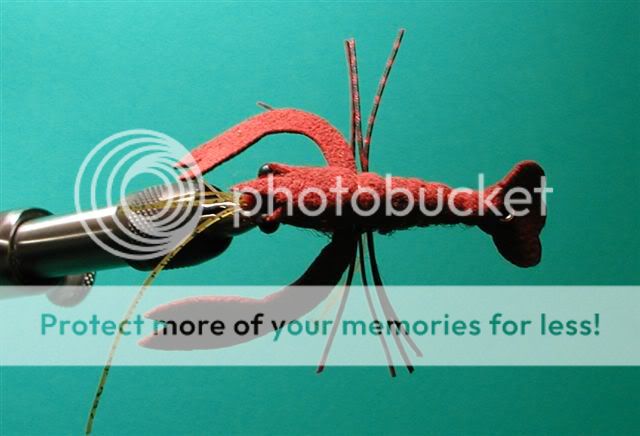 Austin Angler Crawdad - Texas Fishing Forum